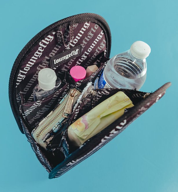 Loungefly Mini Backpack Insert Organiser