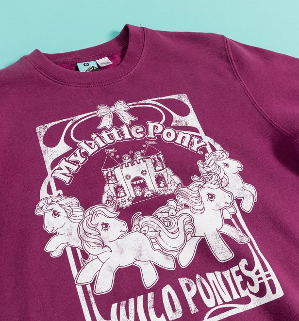 My Little Pony Wild Ponies Purple Sweater