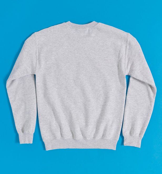 Peanuts Charlie And The Gang Ash Grey Sweater