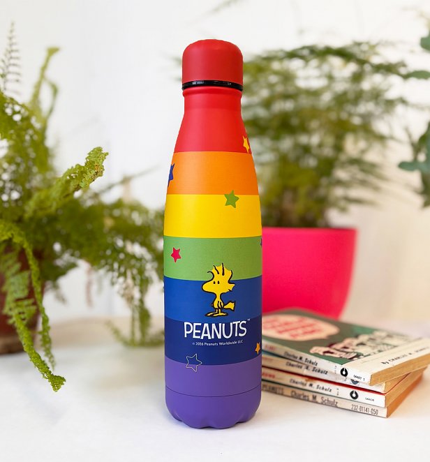 Peanuts Rainbow Water Bottle from House Of Disaster