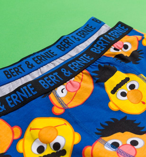 Sesame Street Bert & Ernie 2Pk Boxer Shorts